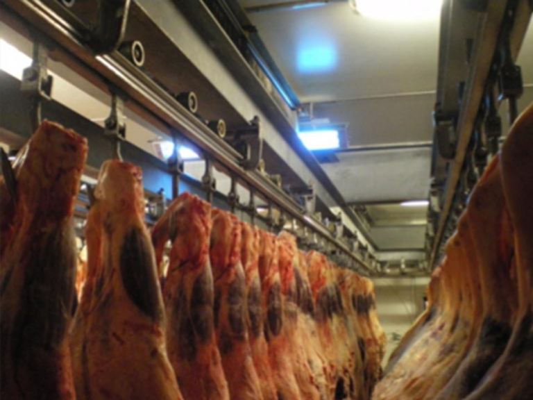 UV Disinfection in Cold Stores to Reduce Contamination and Waste